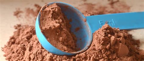 Casein Test & Vergleich » Top 11 im Juli 2025