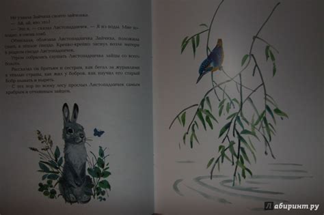 Книга: Листопадничек - Иван Соколов-Микитов. Купить книгу, читать ...