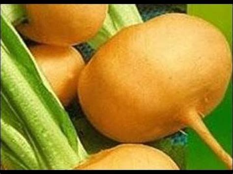 Полезная #репа - YouTube