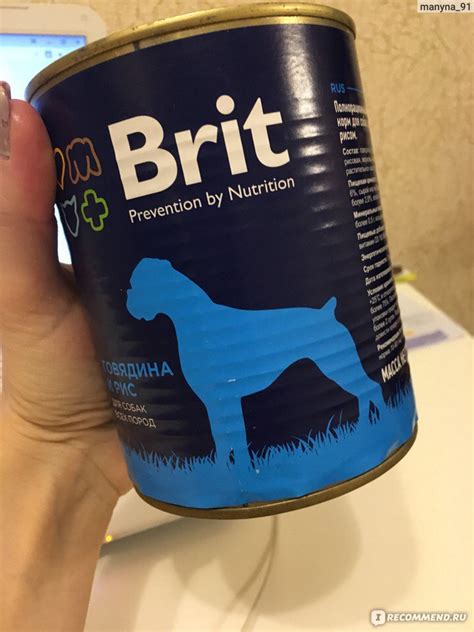 Консервы Brit для собак - «Все ничего .. Но» | отзывы