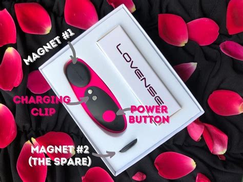 Lovense Ferri Review: Super-Charged Panty Vibe • Phallophile Reviews