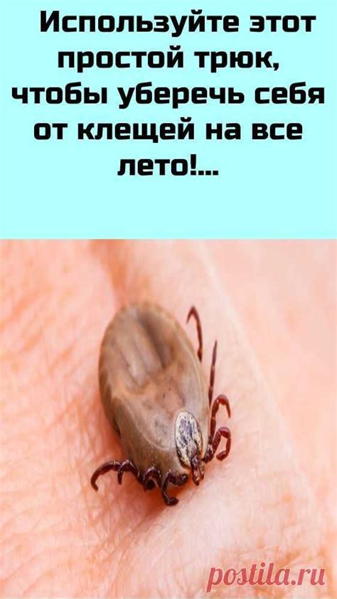 Вы можете воспользоваться этим простым советом, чтобы защититься от к ...