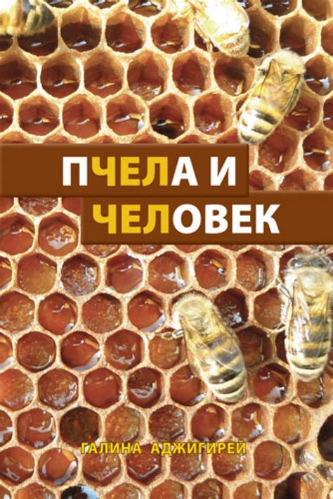 Пчела и Человек. Галина Аджигирей — читать книгу онлайн