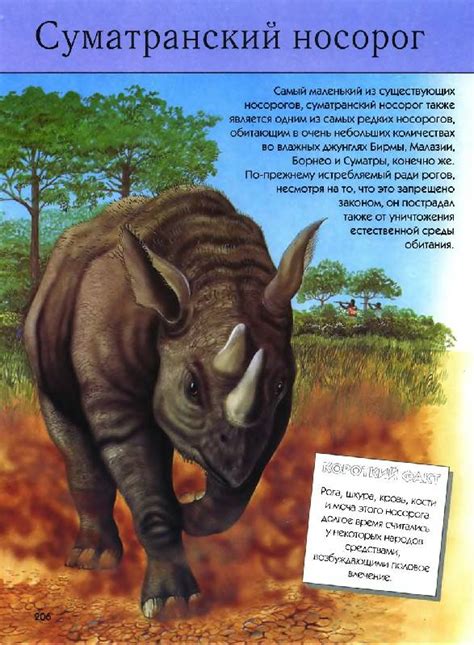 Книга: Вымершие животные. Полная энциклопедия - . Купить книгу, читать ...
