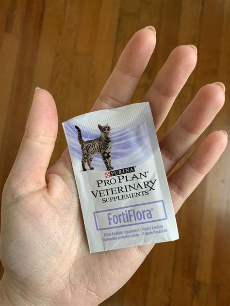 Pro Plan Fortiflora Kat: Een Essentiële Gids Voor Kattengezondheid