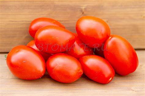 СИБИРСКИЙ КАРЛИК — BTomate