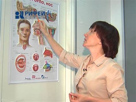 Проактивное здоровье ушей: узнайте, как легко предотвратить повреждение