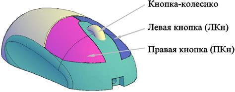 Автокад настройка колесика мыши