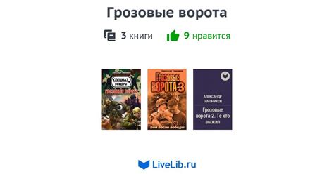 Цикл книг «Грозовые ворота» — 3 книги