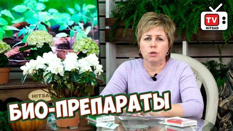 Био-препараты 🌱 ГЛИОКЛАДИН, ГАМАИР, АЛИРИН 🌱 Видео инструкция по ...