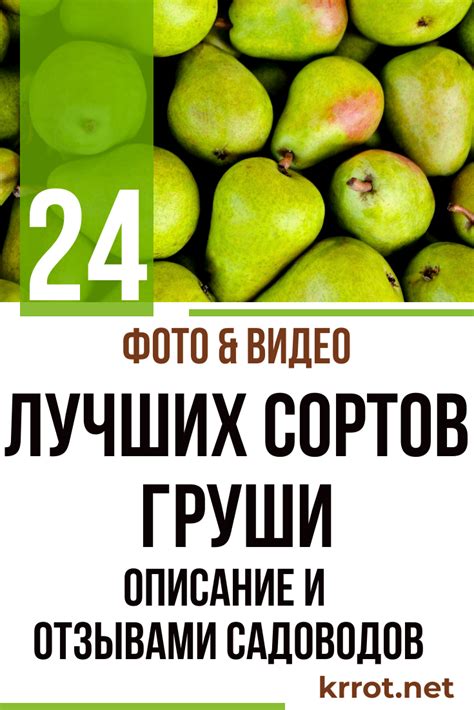 Груша - Описание 24 Лучших Сортов, Отзывы Садоводов | Фото