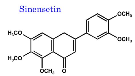 Sinensetin