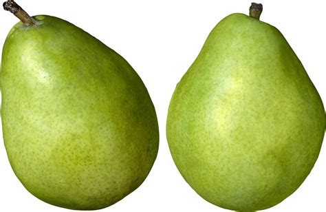 зеленые груши PNG фото