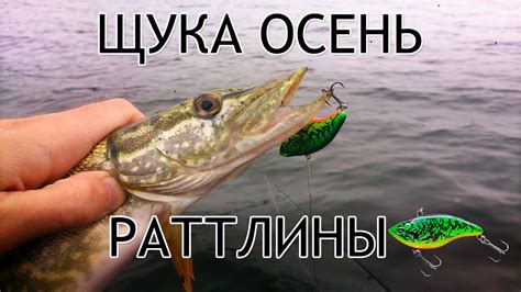 Ловля щуки осенью на раттлины - YouTube