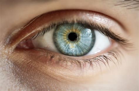 Marcus Gunn pupil: Causes, diagnosis, and treatment