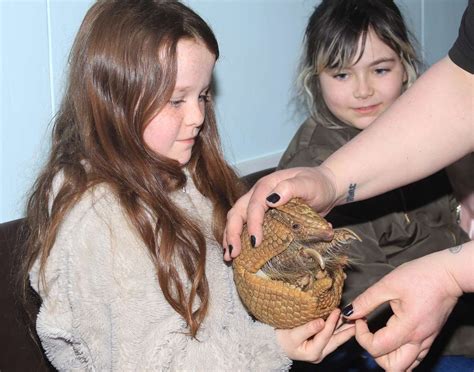 Caithness young carers come face to face with exotic animals at 10th anniversary party