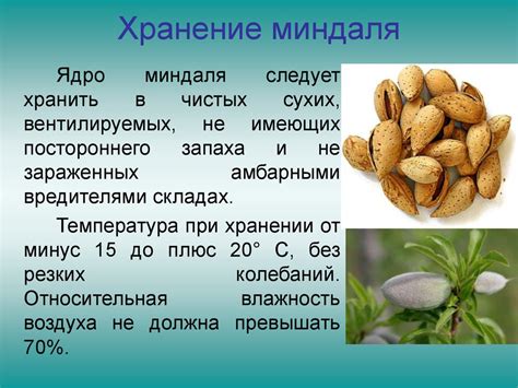 Орехи и масличные семена в кондитерском производстве - online presentation