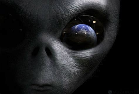 10 причин, из-за которых зомби-апокалипсис может состояться: dymontiger ...