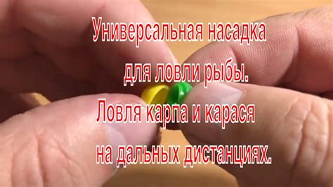 Универсальная насадка для ловли рыбы. Ловля карпа и карася на дальных ...