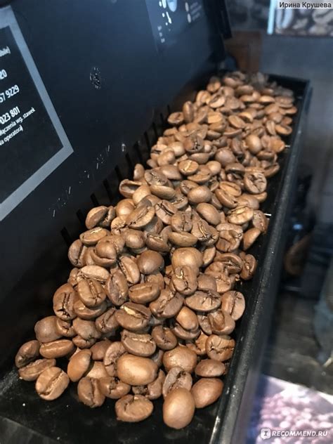 Кофе в зёрнах натуральный жареный Tasty Coffee Бразилия Суль-де-Минас ...