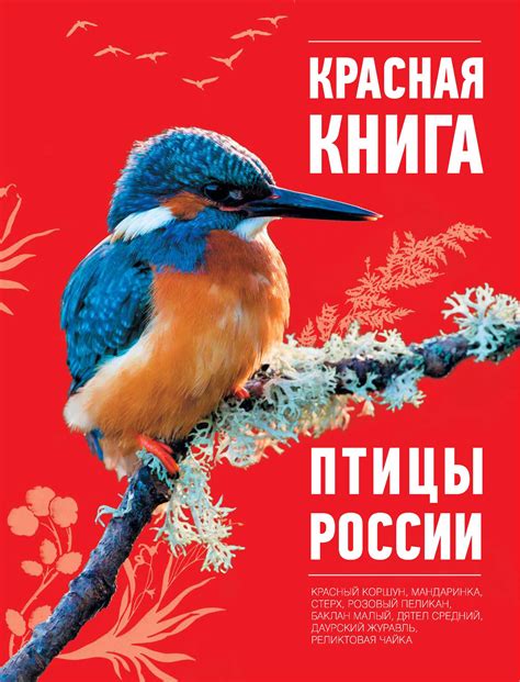 Оксана Скалдина, Красная книга. Птицы России – скачать pdf на ЛитРес