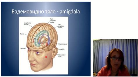 Релаксина Паник - YouTube