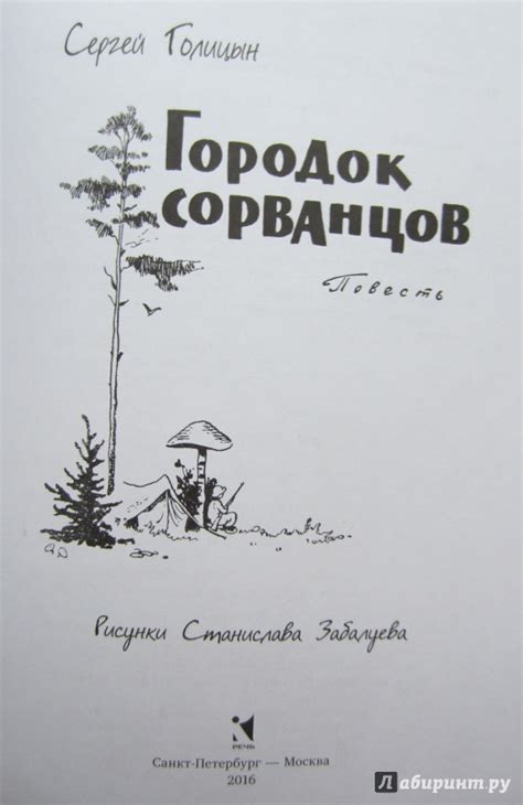 Книга: Городок сорванцов - Сергей Голицын. Купить книгу, читать ...
