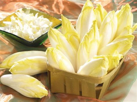 Chicon 이미지 – 찾아보기 634 스톡 사진, 벡터 및 비디오 | Adobe Stock