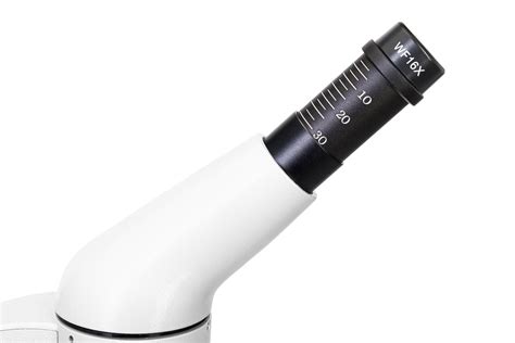 Levenhuk Rainbow 50L PLUS Microscope – Madeira Optics