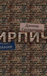 Книга "Кирпичи" - Сугралинов Данияр скачать бесплатно, читать онлайн