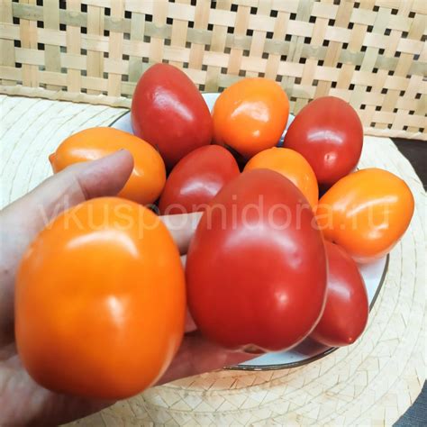 Купить семена томата сорт Джокато (Jokato)