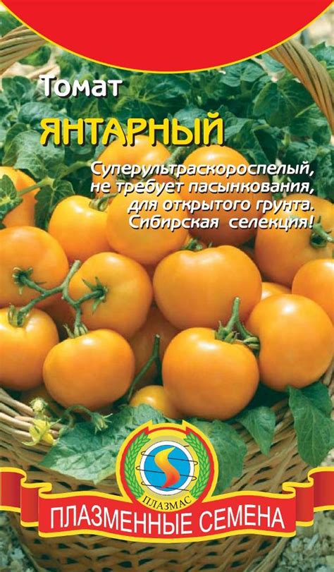 Томаты для Ленинградской области: лучшие сорта для теплиц и открытого ...