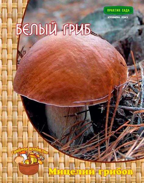 Лесные грибы ПОИСК Агрохолдинг Грибы-FermerZ, 3 г - купить по выгодным ...