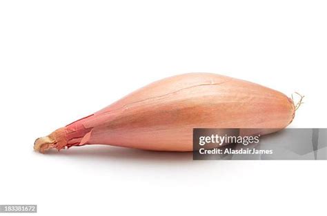 4,478 Shallot Stock Photos, High-Res Pictures, and Images - Getty Images