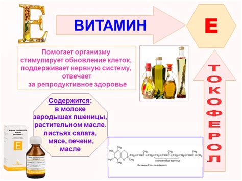 Витамин E (Токоферол) - влияние на организм, польза и вред, описание ...