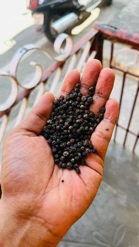 Black Pepper For Sale, 500g at ₹ 1000/kg in Dindigul | ID: 2850967172630