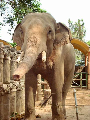 Zoo-Well Assessments| Animal Welfare Expertise