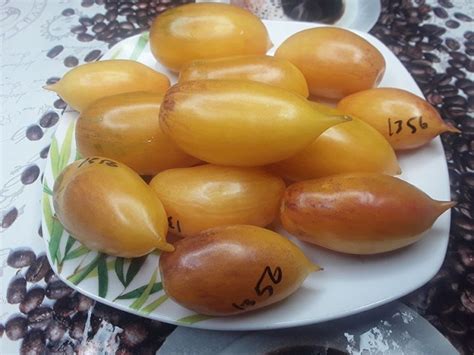 Семена: Томат Бананово-лимонный Сингапур /Banana Lemon Singapore ...