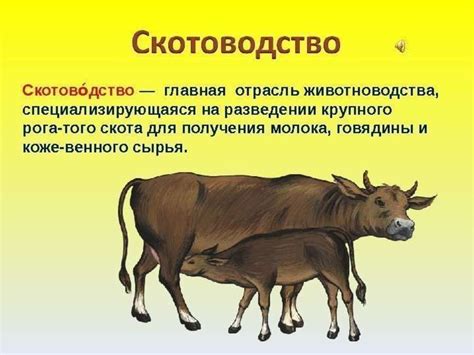 Сельское хозяйство. География животноводства - презентация онлайн