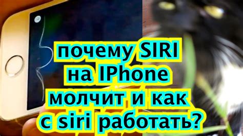 почему SIRI на IPhone 4 5c 5s 6 6s молчит и как с siri работать ...