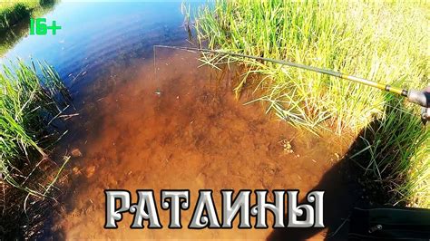 Обзор и распаковка ратлины на щуку с алиэкспресс китай. - YouTube