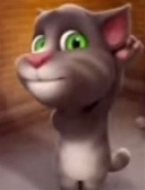 Создать мем "talking tom cat, серий кот том, кошка" - Картинки - Meme ...