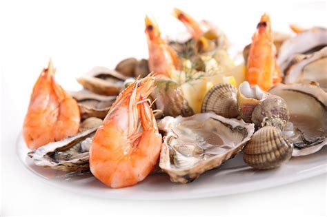 Fruit De Mer Zwangerschap at Trevor Roy blog