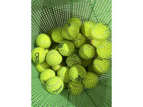 Used Paddle Ball - 248AM Classifieds