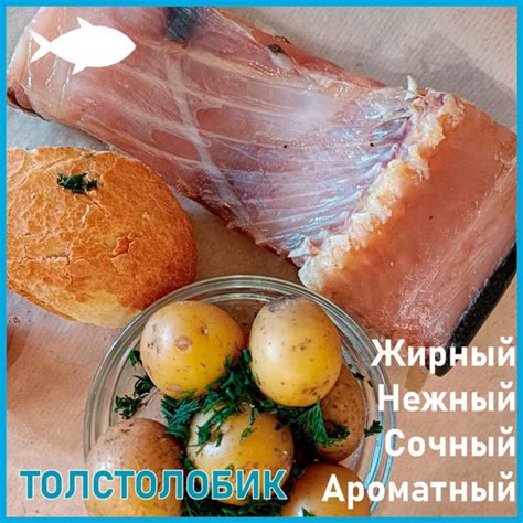 Балык толстолобика жирный сочный ароматный 500-600гр/рыба вяленая ...