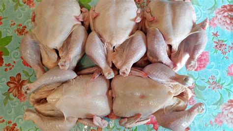 ЗАЧЕМ я покупаю сразу 5 кур??🐔 Ответ вас удивит!😲😲 - YouTube