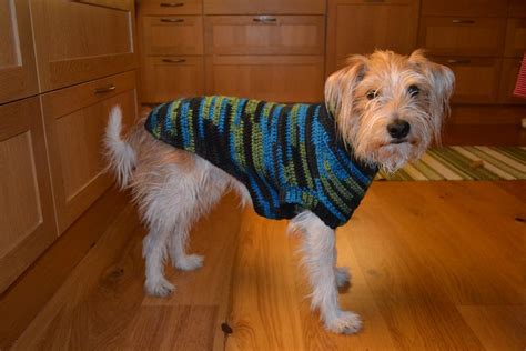 Karins pyssel: Virkad hundtröja