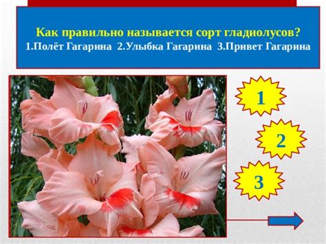 Интерактивная викторина ко Дню космонавтики - внеурочная работа ...