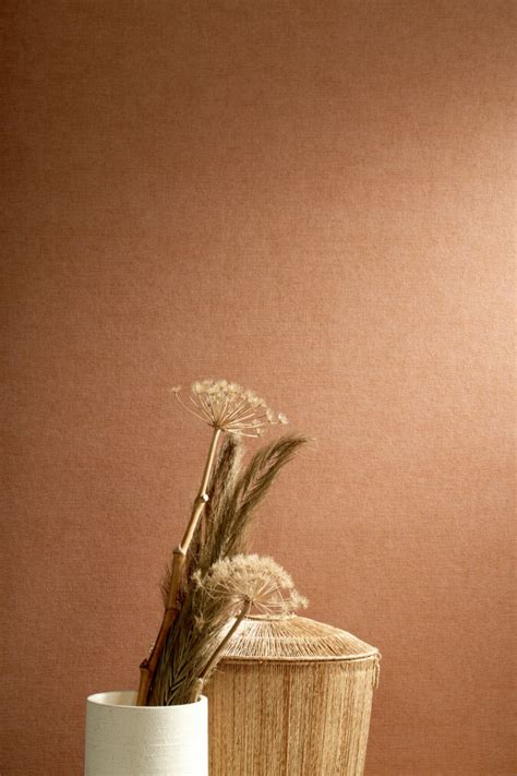 Tulle — Arte
