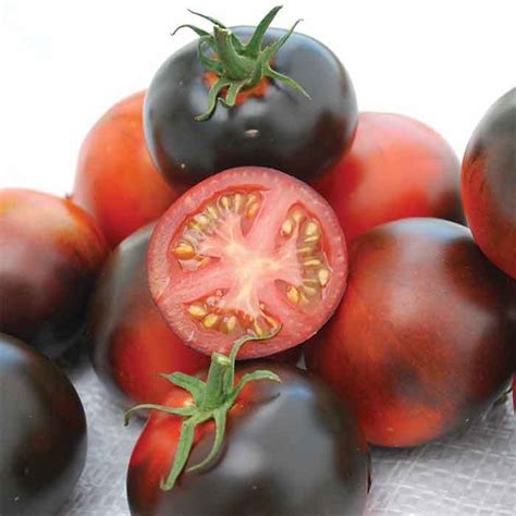 Tomato, Indigo™ Apple , Indigo™ Series Tomato Seeds: Totally Tomatoes